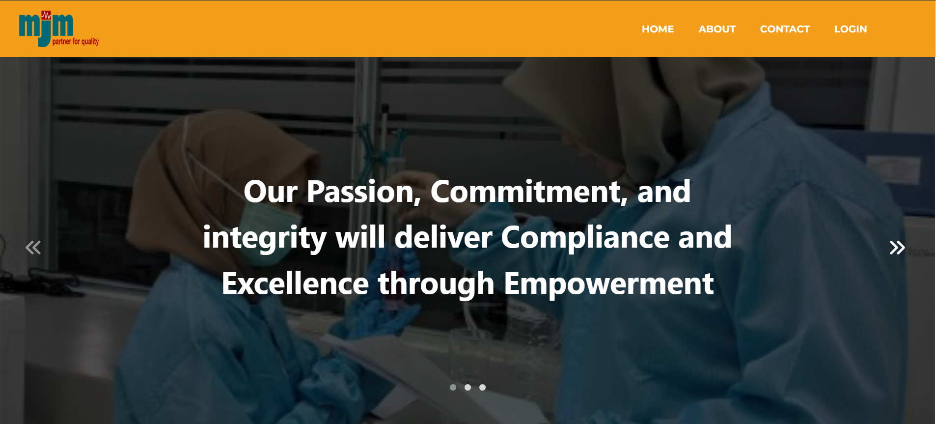 Portfolio - Rizal Setiawan